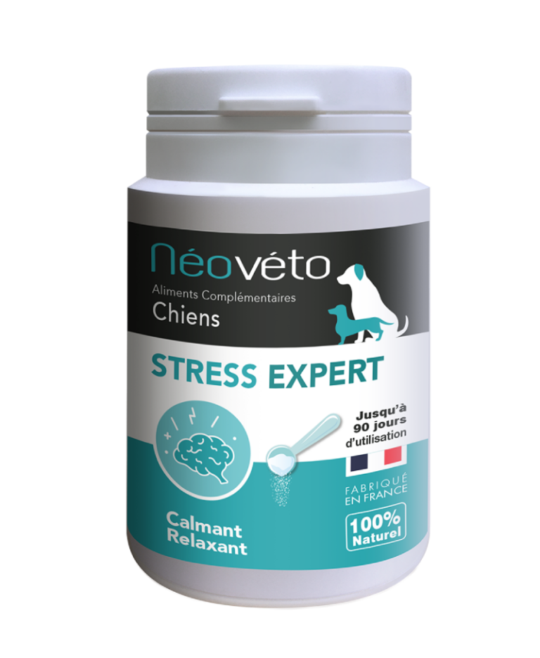 Calmant naturel pour chien : les meilleures solutions pour l'apaiser